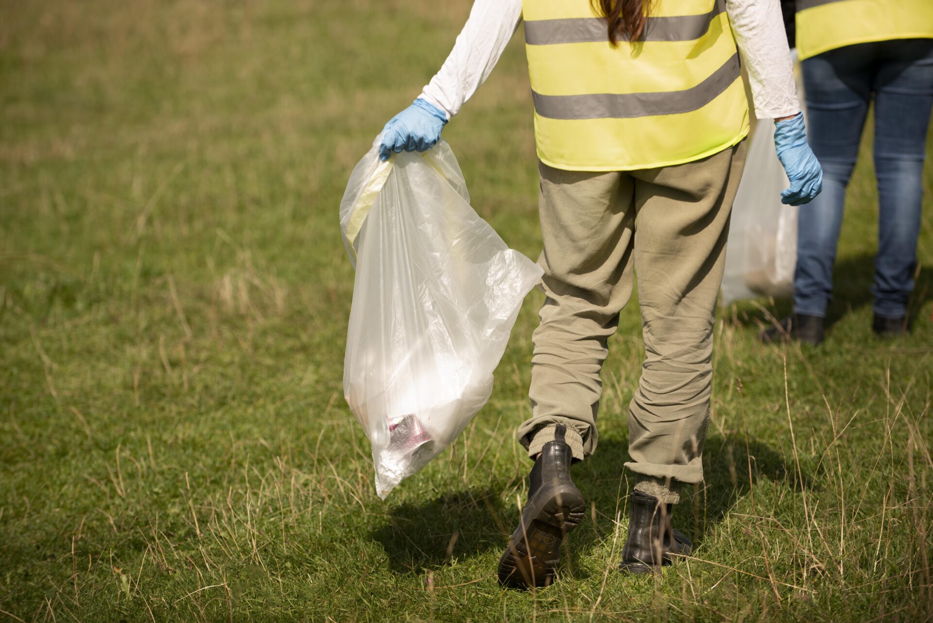 The Hidden Risks of Dead Animal Removal & Waste Cleanup - wildlife ...
